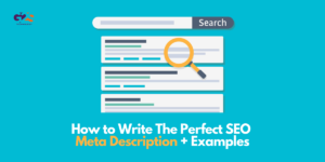 How to Write The Perfect SEO Meta Description For Your Website in 2022